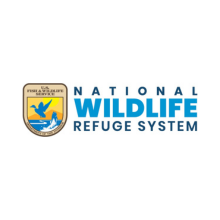 Home [www.river-management.org]